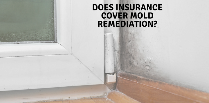 When is Mold Remediation Covered by Insurance? – RMR Solutions, LLC