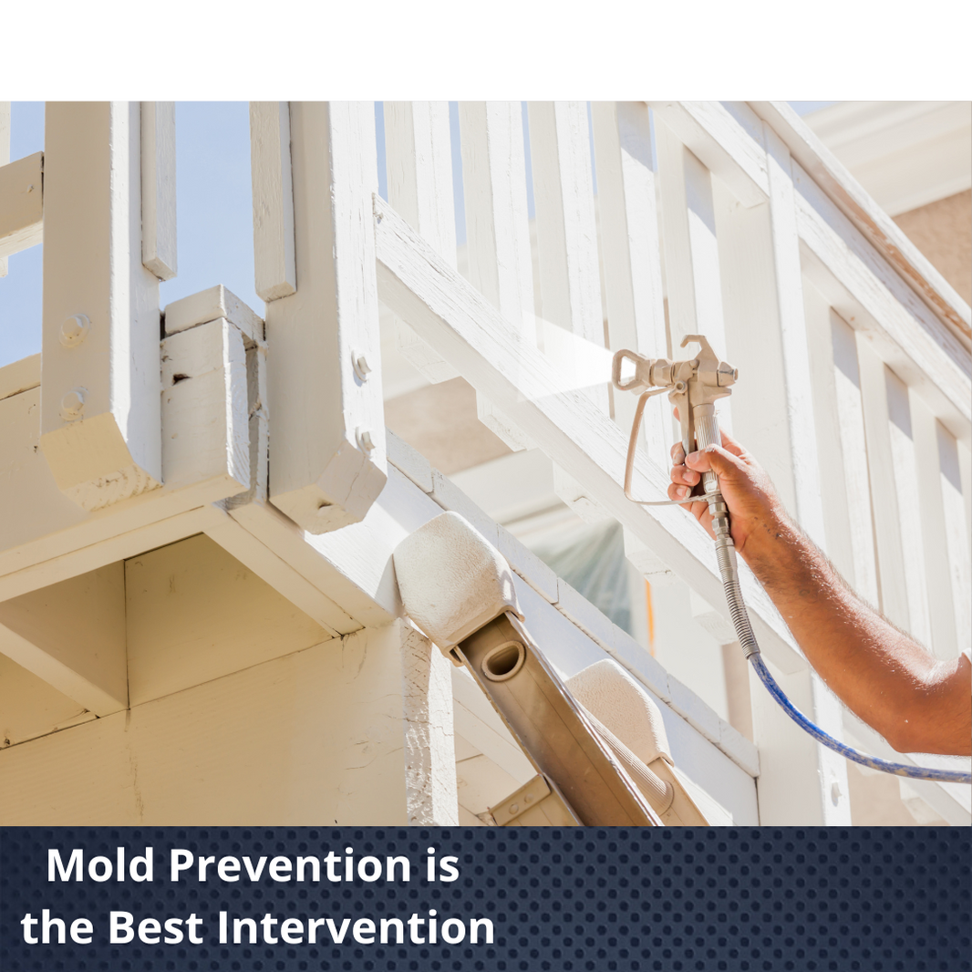 RMR Mold Resistant Coating – RMR Solutions, LLC