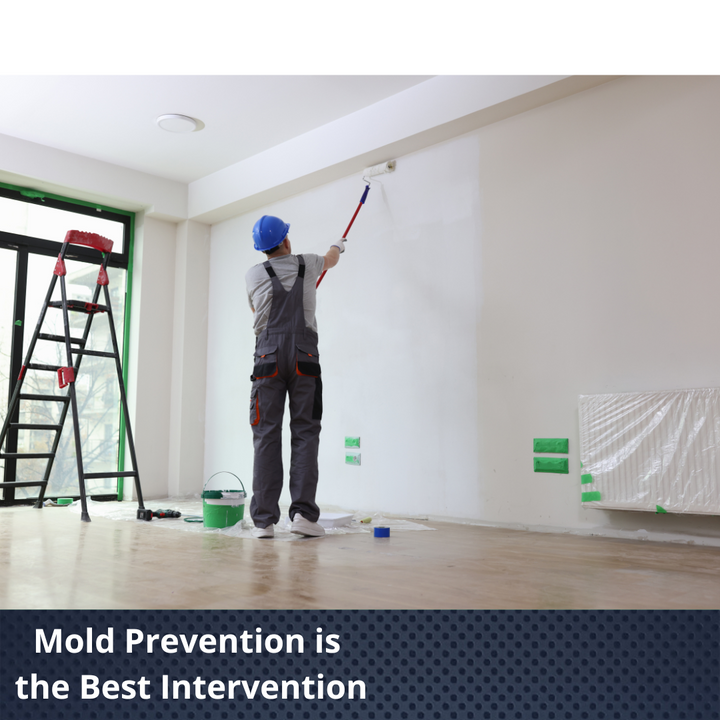 RMR Mold Resistant Coating – RMR Solutions, LLC