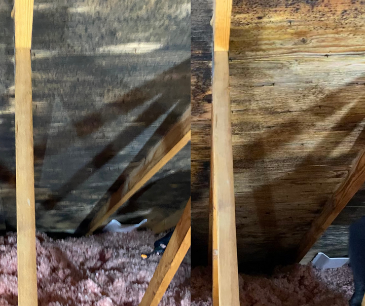 RMR-86 PRO Powder Concentrate – RMR Solutions, LLC